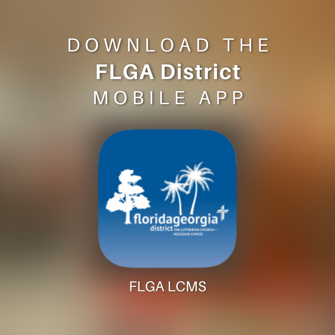 FLGA District